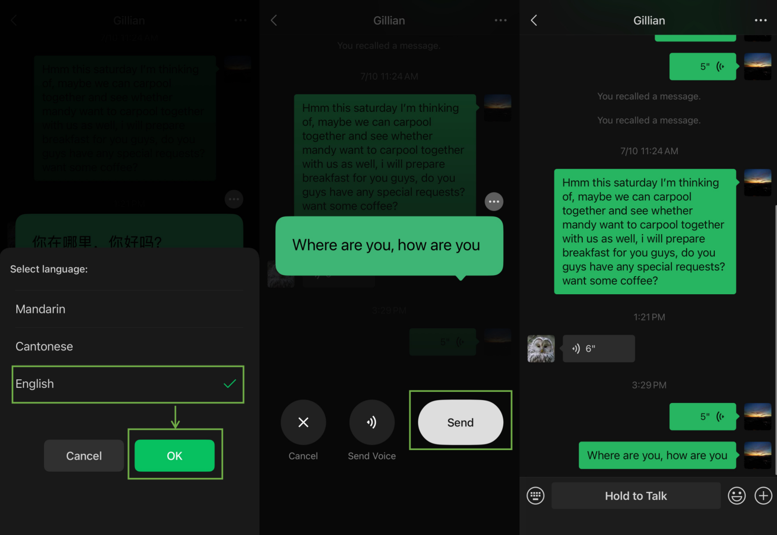 Break the Language Barrier with WeChat’s New Voice Translation Feature ...
